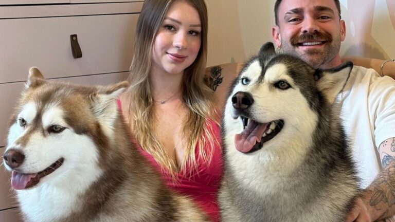 Quem é o influenciador Zanq