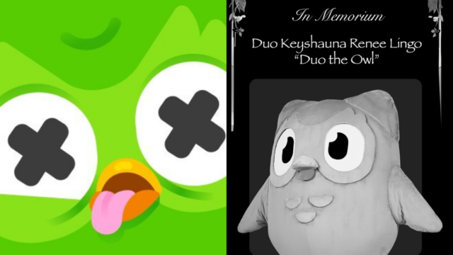 Duolingo morreu: Veja o que aconteceu com o mascote